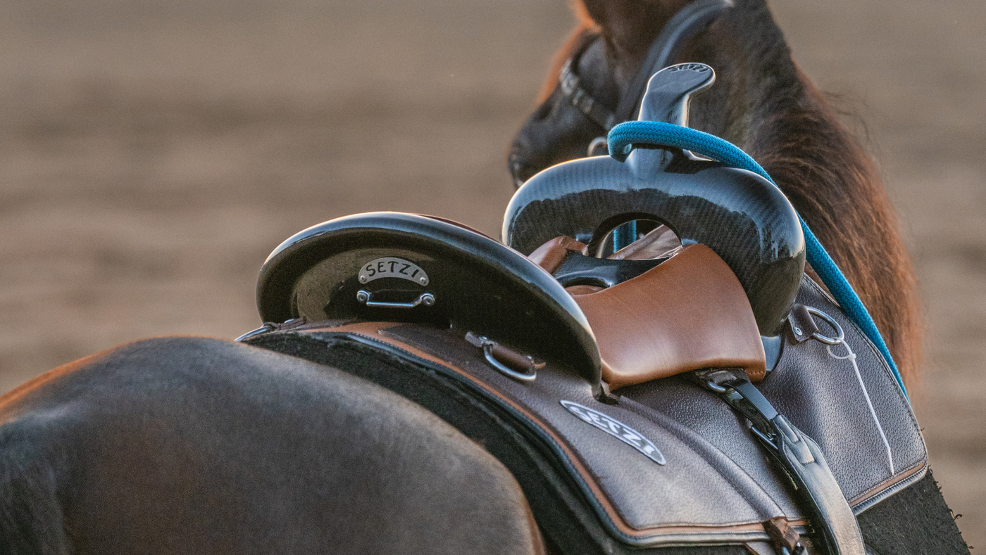 Setzi Saddles